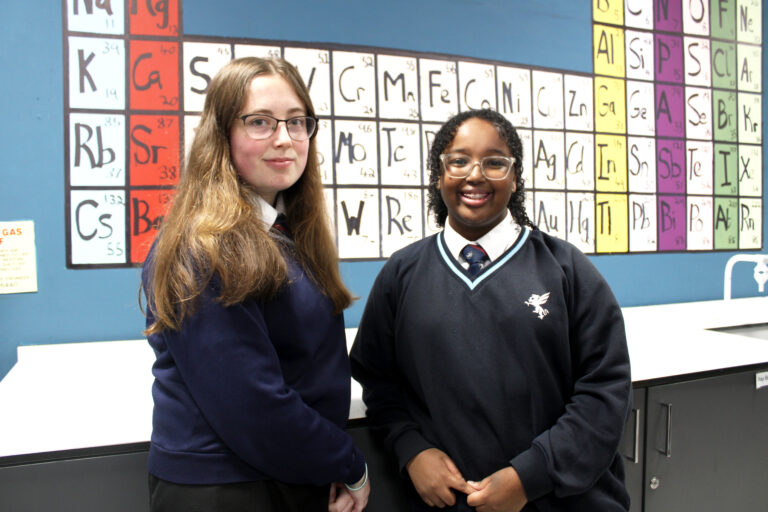 Curriculum Statement - Bournville School